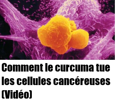 Comment le curcuma tue les cellules cancéreuses (Vidéo) - Santé Nutrition