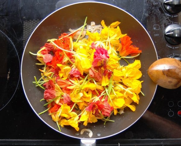 42 fleurs que vous pouvez manger - Santé Nutrition