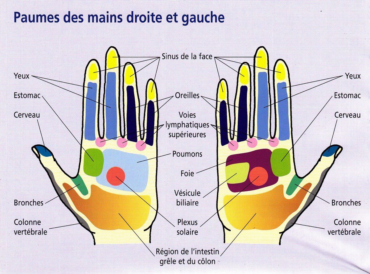 Tout Est Dans La Paume De Votre Main Appuyez Sur Ces Points Pour