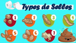 12 choses que vos selles révèlent sur votre santé - Santé Nutrition