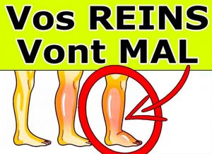 Problème de rein : les symptômes d'alerte à surveiller